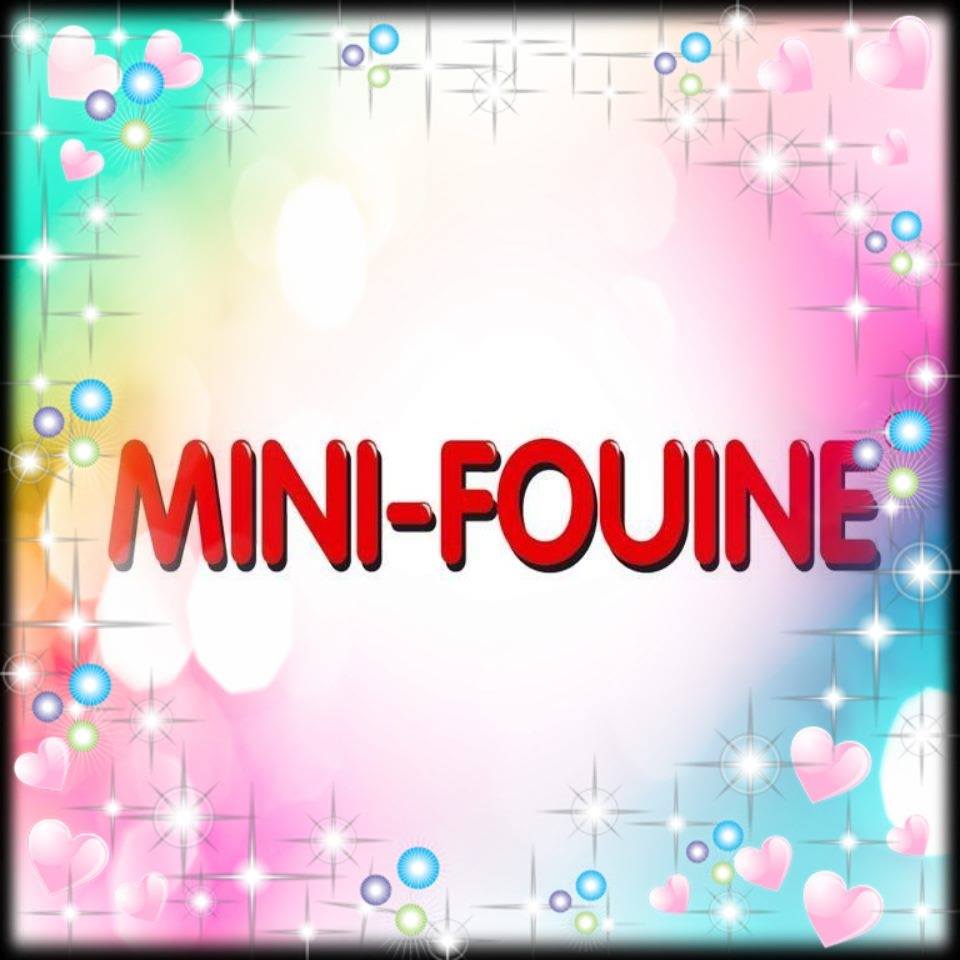 Mini-Fouine - Meubles et Décoration | GUERANDE