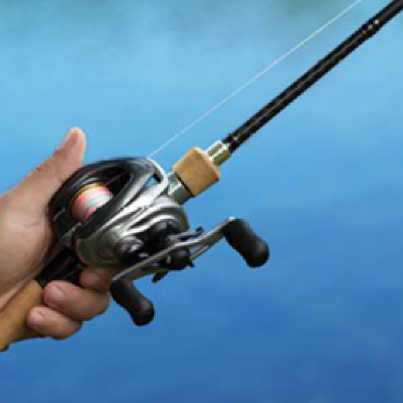 Concours de pêche No Kill & soirée dansante - Competition | LE CROISIC